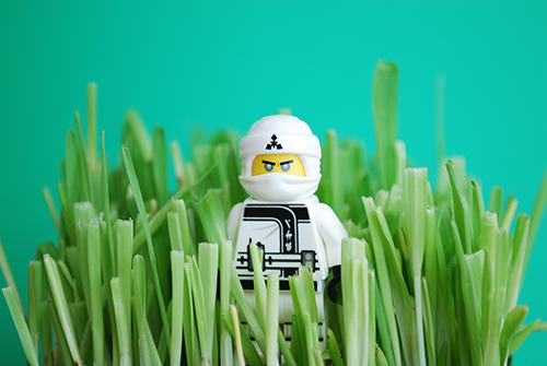 "N" is for Ninjago - True North Bricks