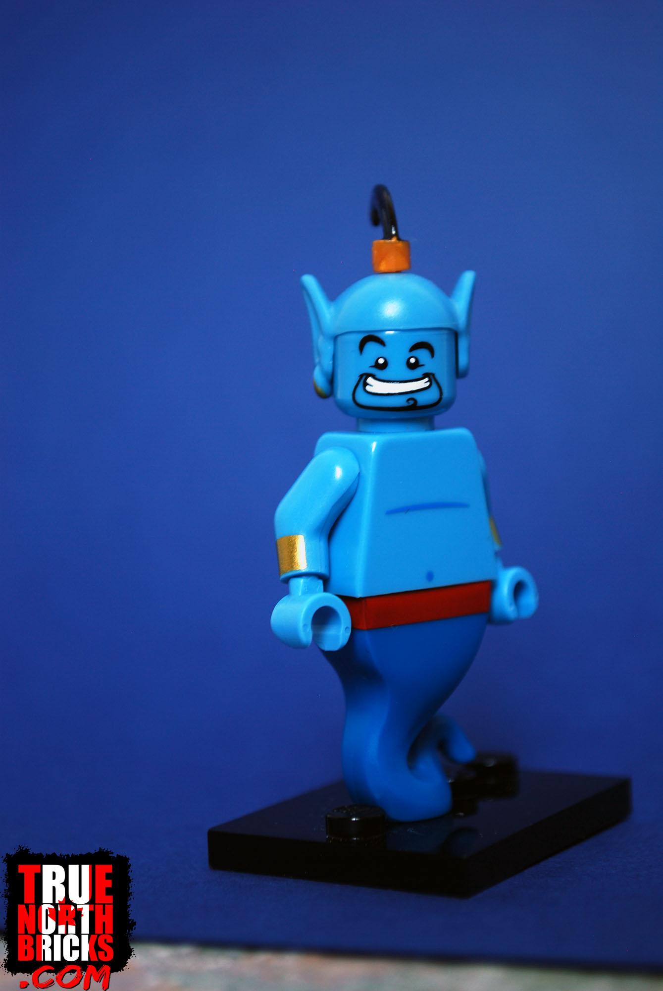 Aladdin LEGO-fied! - True North Bricks