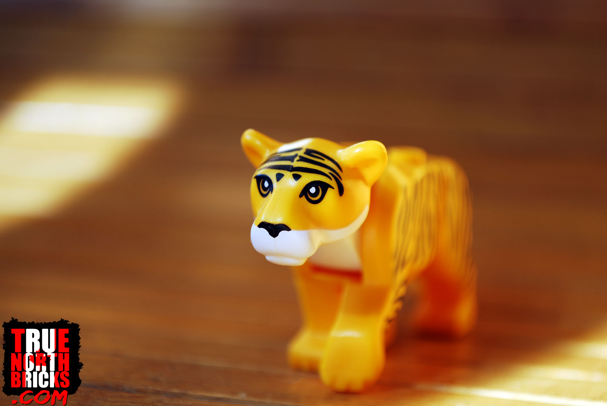 Aladdin LEGO-fied! - True North Bricks