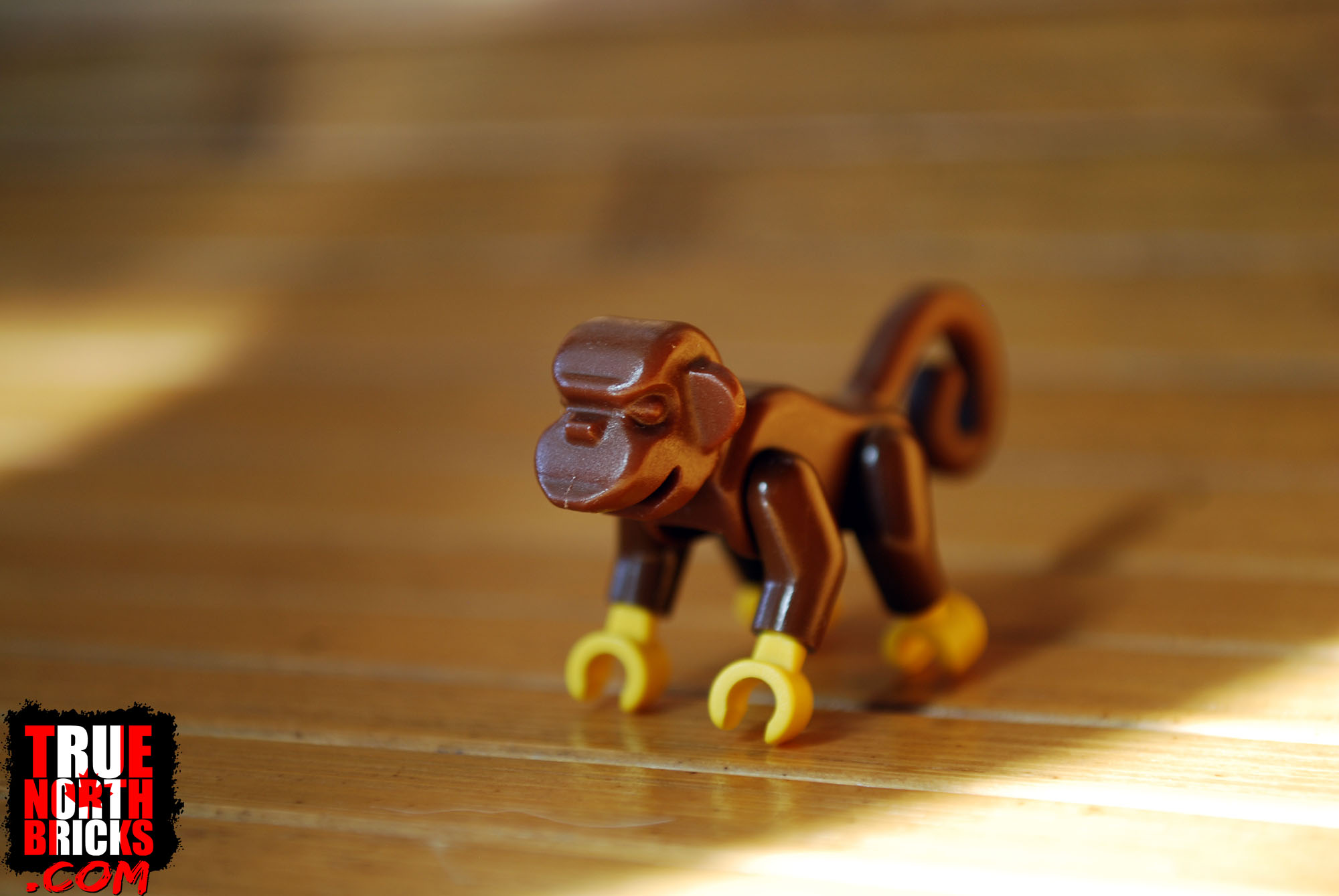 Aladdin LEGO-fied! - True North Bricks