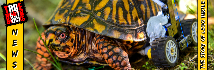 The Story of LEGO® Turtle - Saved by LEGO® - True North Bricks