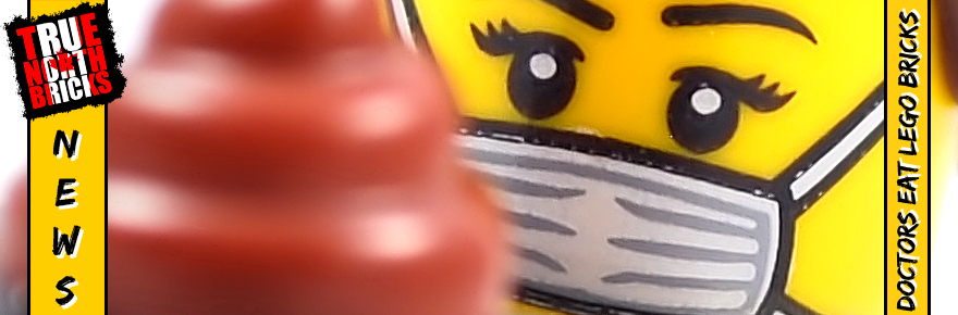 Doctors Eat LEGO Bricks for Science - True North Bricks