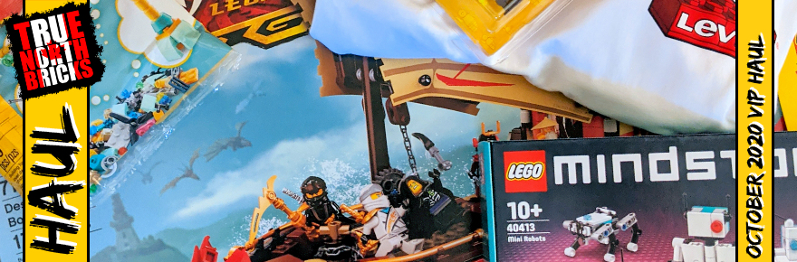 October 2020 VIP Haul & More! - True North Bricks