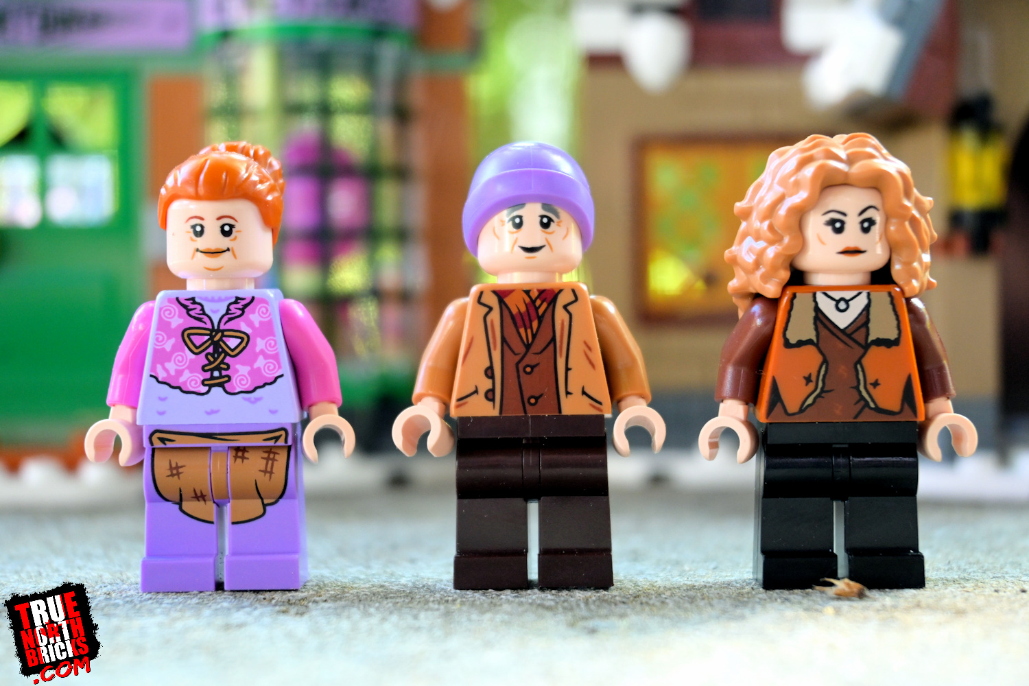 Hogsmeade Village Visit (76388) Review - True North Bricks