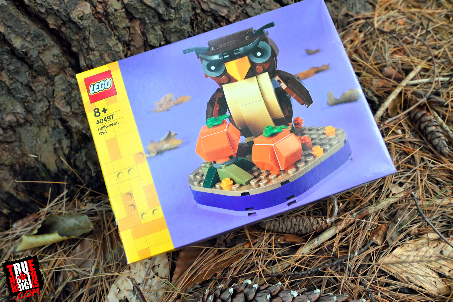 Halloween Owl (40497) Review - True North Bricks