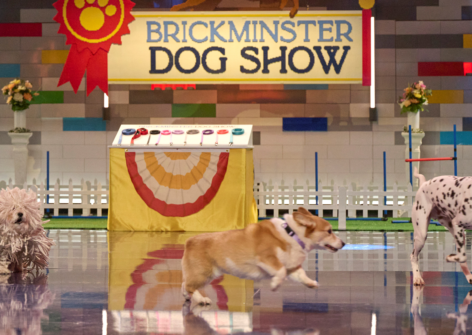 Brickminster Dog Show - LEGO Masters USA S03E05 - True North Bricks