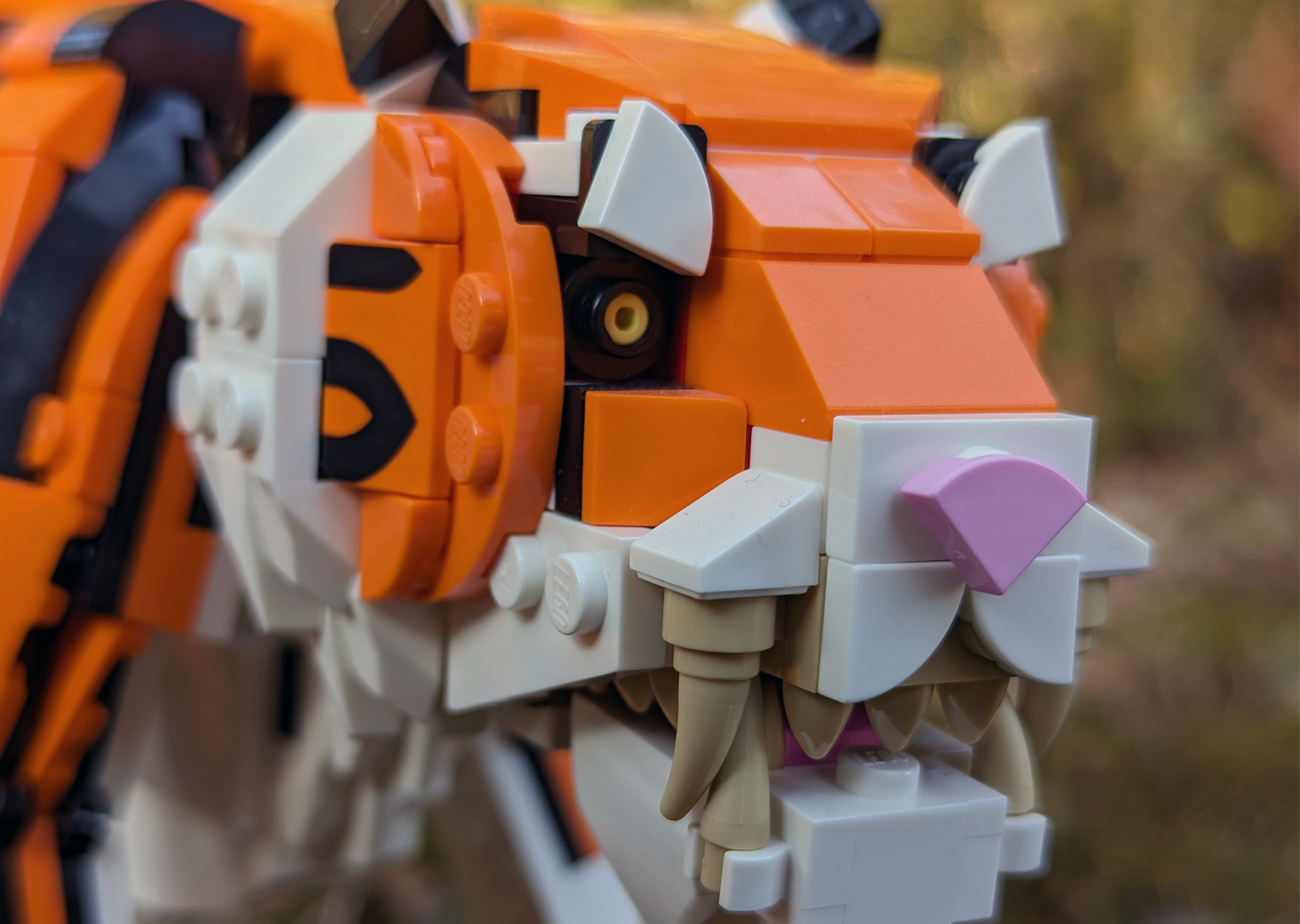 Colour Variation in Tigers Demonstrated Using LEGO® Bricks - True North ...